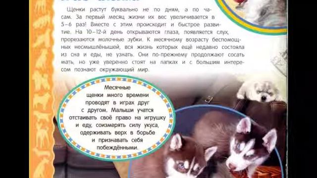 Собаки и щенки. Часть 5. Не по дням, а по часам. Самая первая энциклопедия