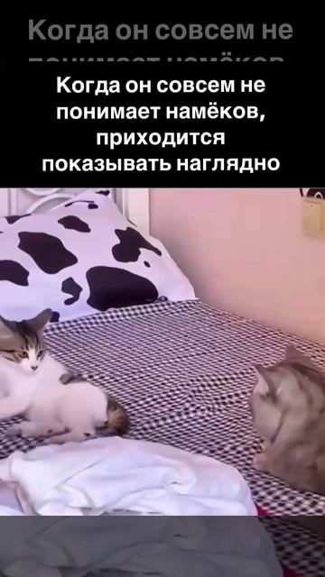 показывать наглядно #shorts