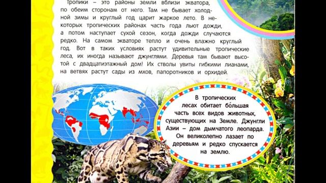 Животные джунглей. 1 часть. Тропические леса