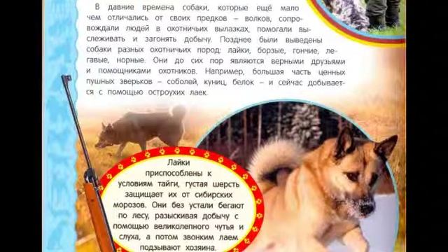 Собаки и щенки. Часть 9. Помощники на охоте. Самая первая энциклопедия