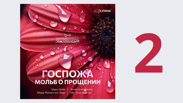 2. Госпожа мольб о прощении  // шейх Абдурраззак аль-Бадр // Абу Умар Ас-Сыям