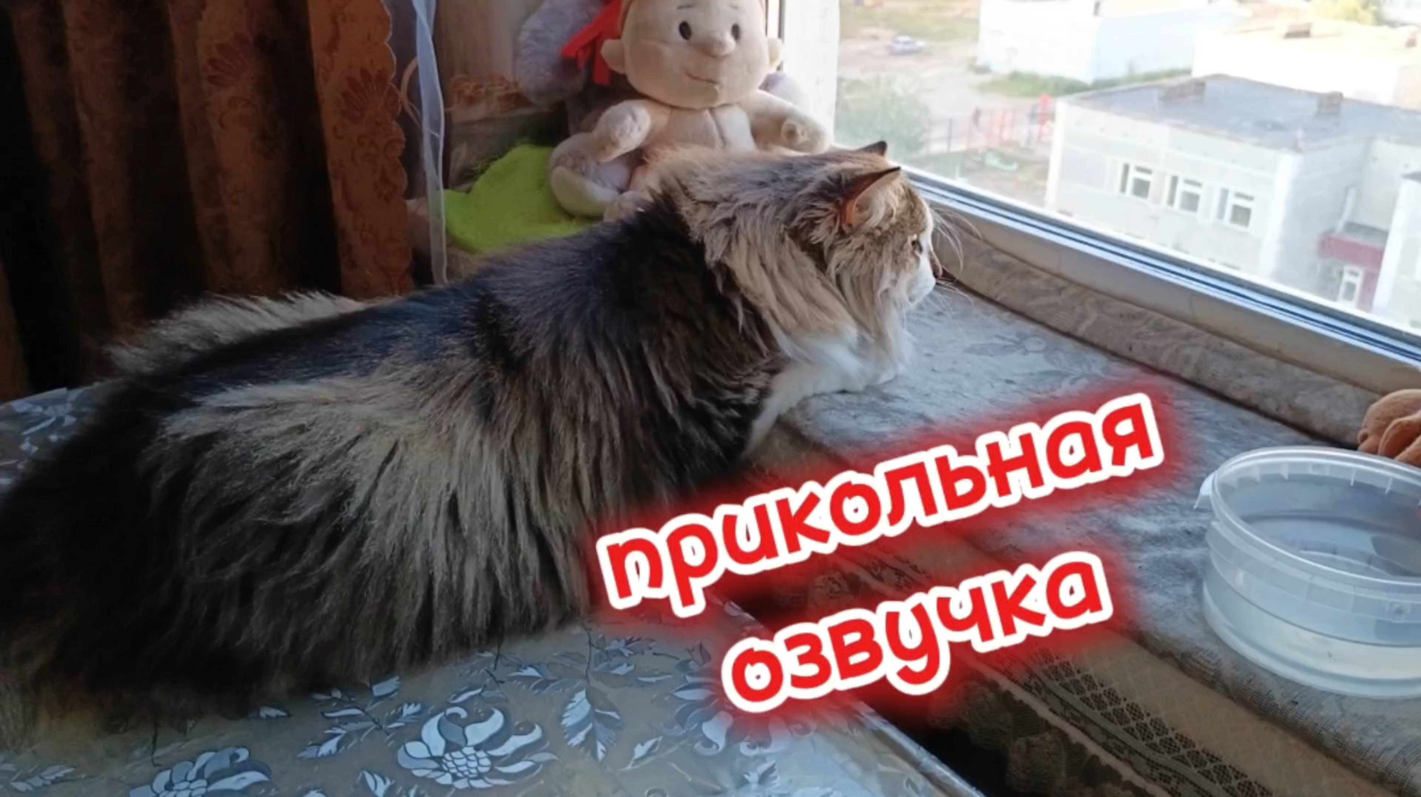 Прикольная озвучка