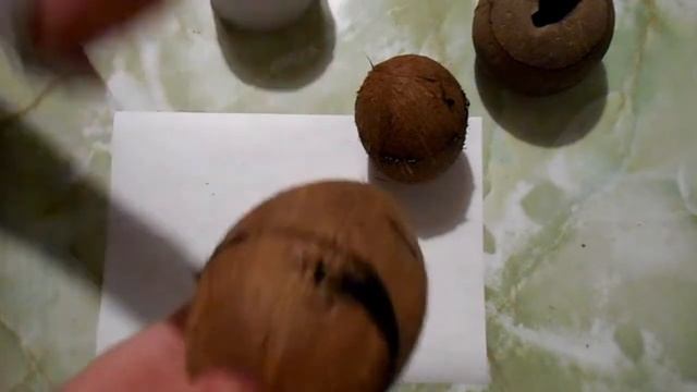 Домик для анциструсов своими руками