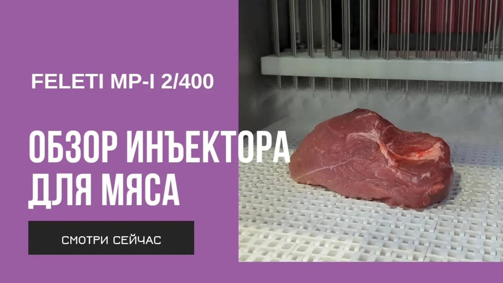 Инъектор для посола мяса FELETI MP-I 2/400
