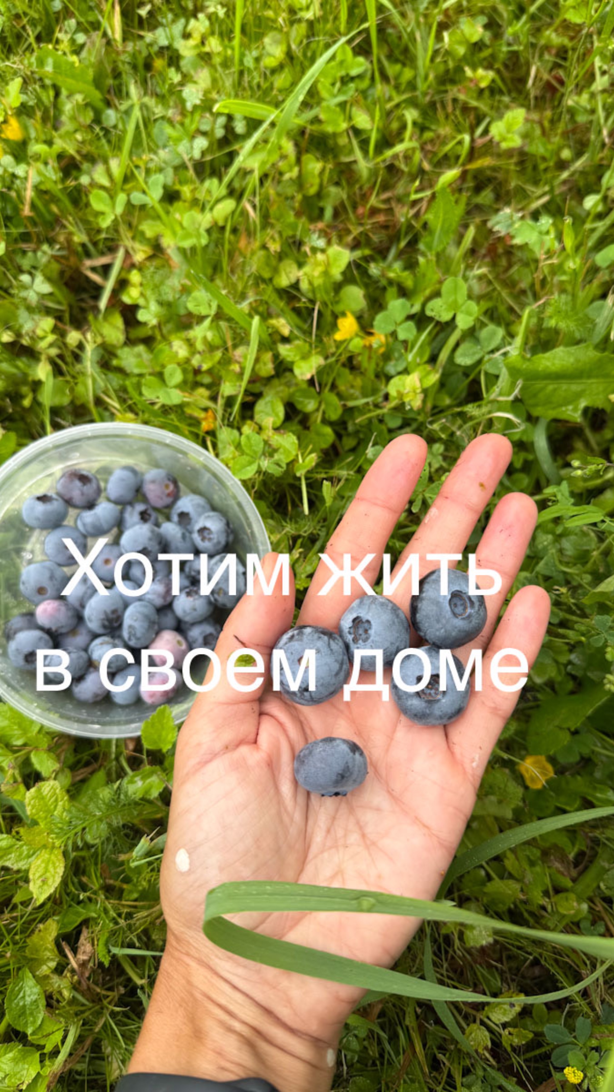 Почему мы хотим жить в своем доме