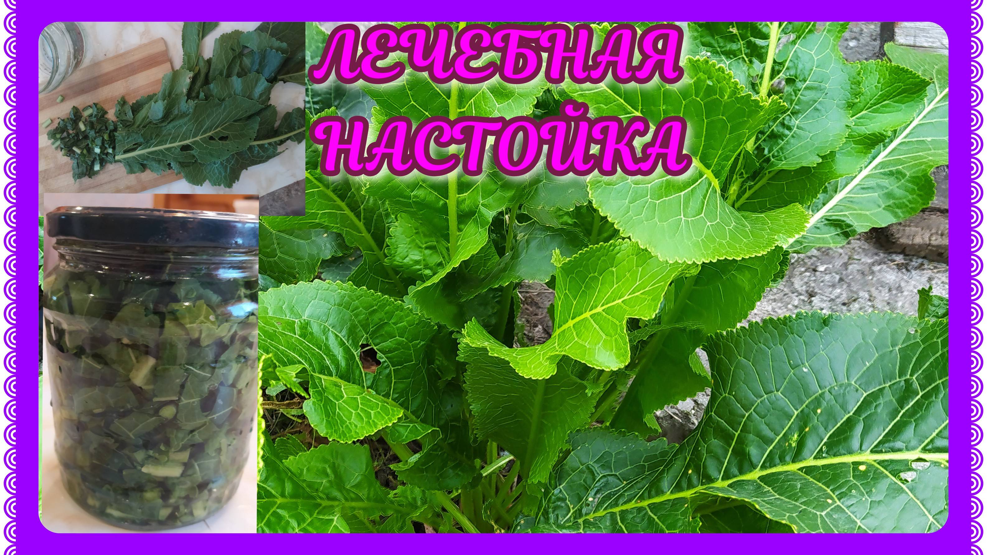 Настойка из хрена!Лечим артрозы,хондрозы,суставы!