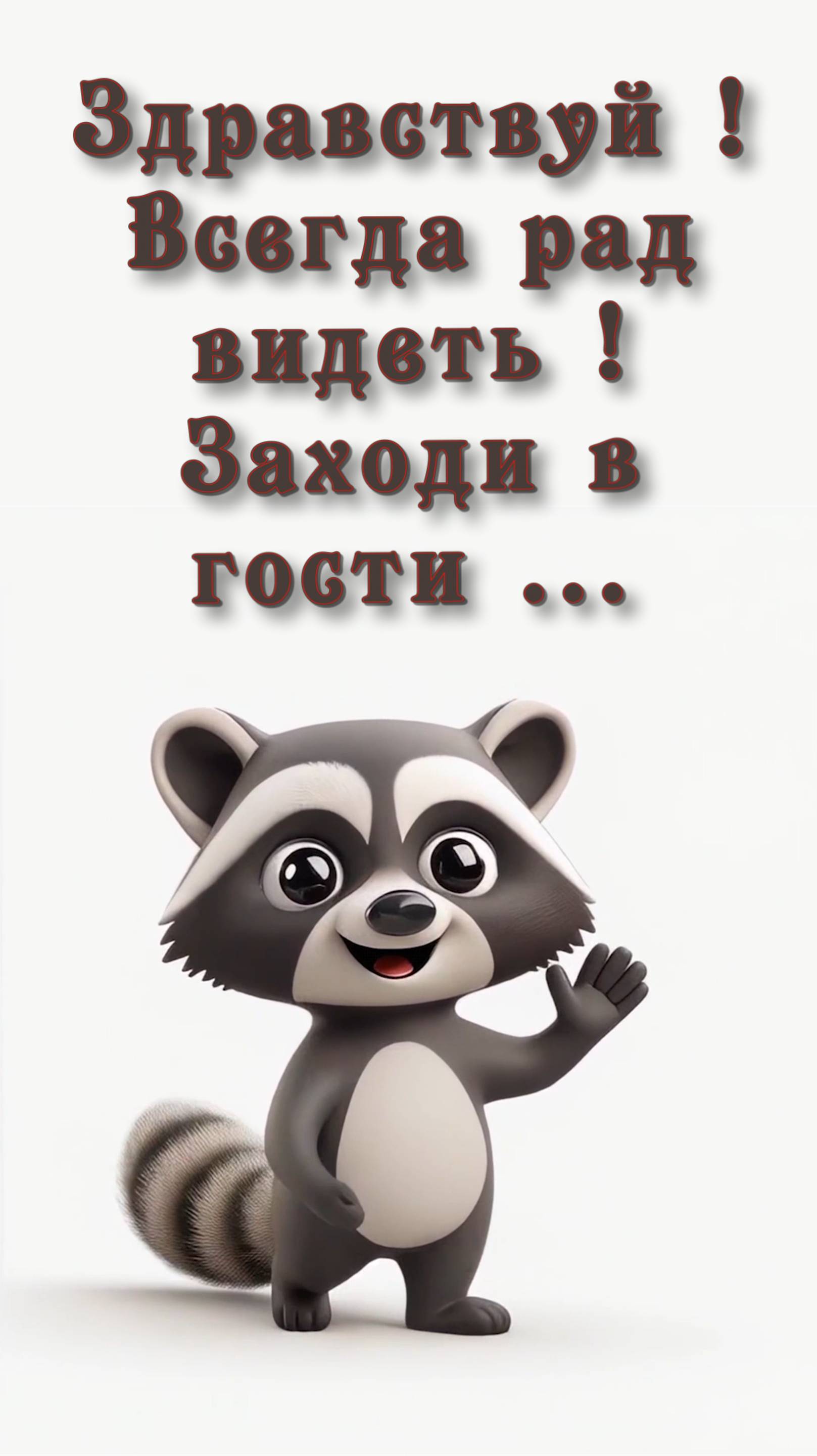 Здравствуй !