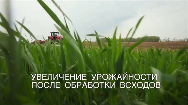 каток гюттлер