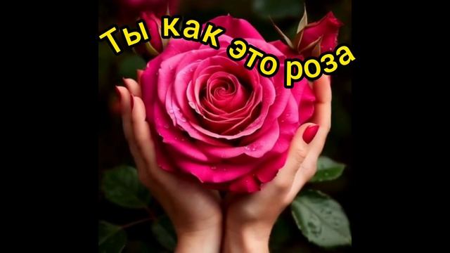 Ты как это роза