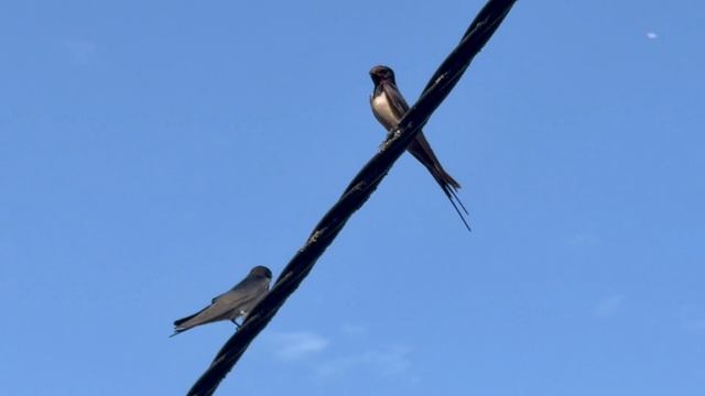 НЛО 🛸 в небе?! Что это было?!