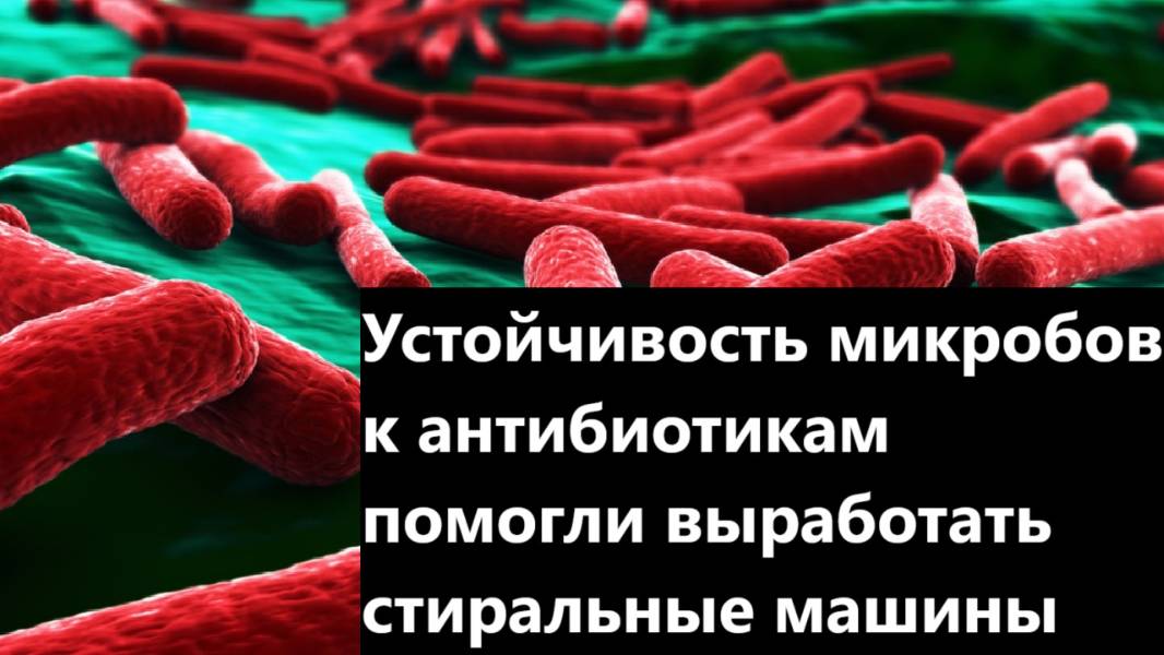 Устойчивость микробов к антибиотикам помогли выработать стиральные машины