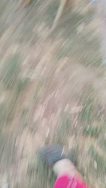 показываю что поменялась 1 часть