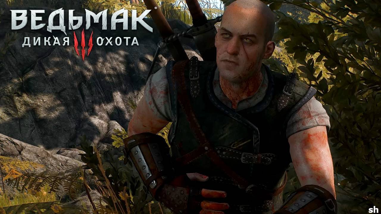 Ведьмак 3 Дикая Охота►Прохождение без комментариев.#29