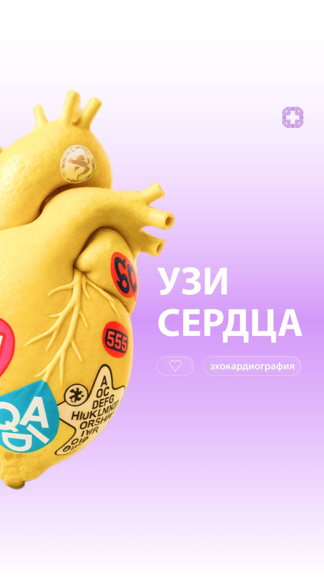 УЗИ сердца