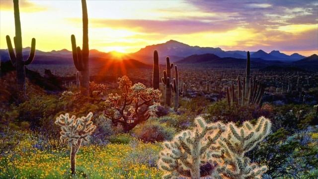Moments Of Life 158 (Guitar - Chill Mix)