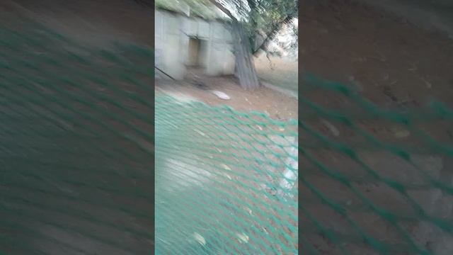 показываю что поменялась в совхозе 2 часть