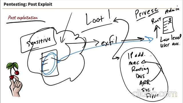 7-vulnerability-assessments-and-pentesting