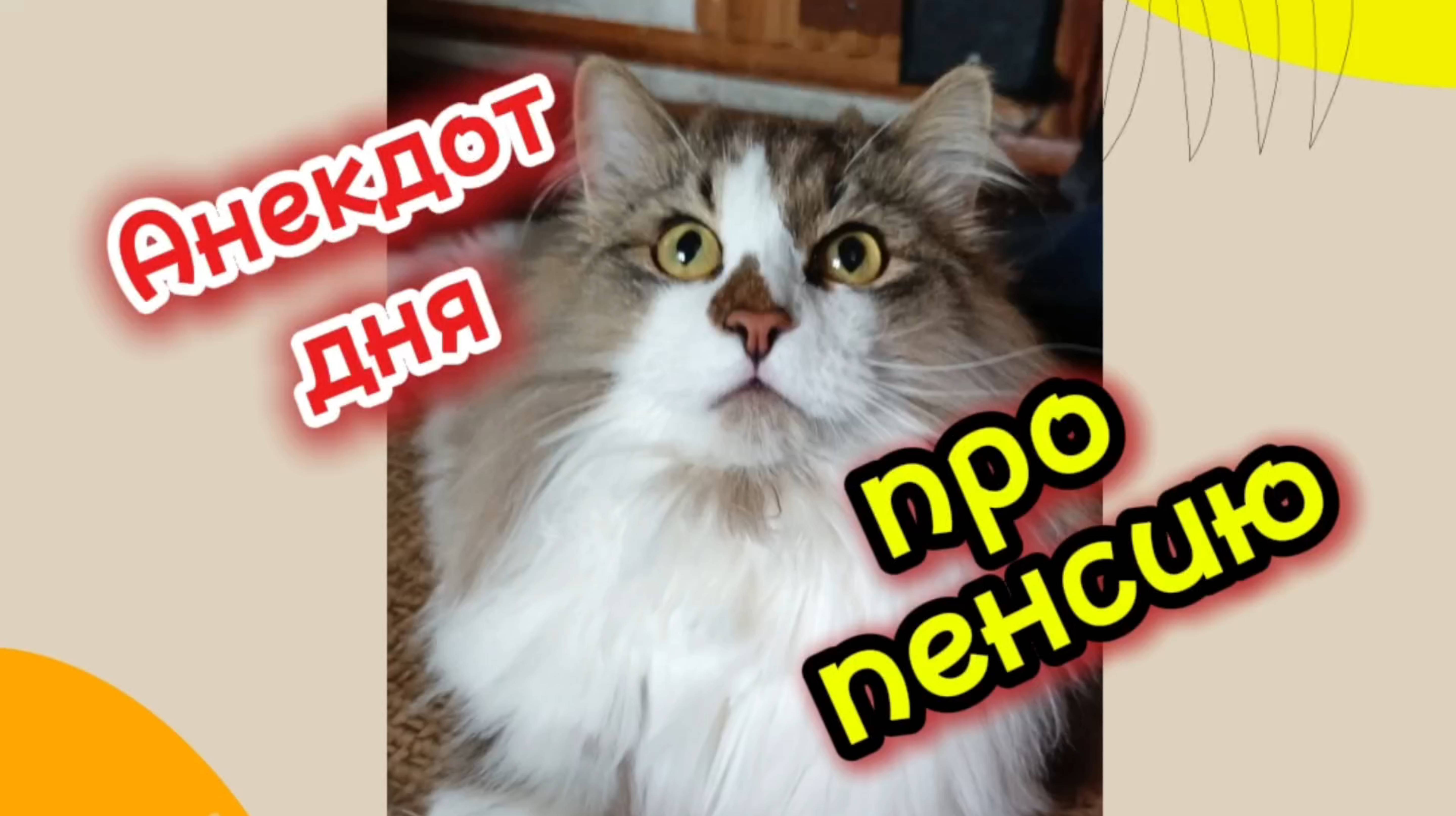Анекдот дня про пенсию.