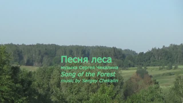 Песня леса. Сергей Чекалин. Song of the forest. Sergey Chekalin.
