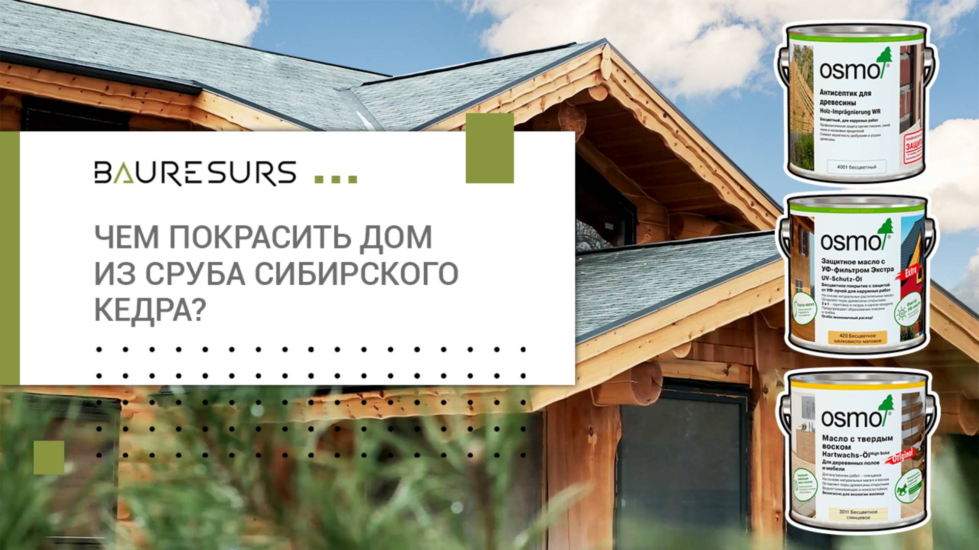 Чем покрасить дом из сруба сибирского кедра?