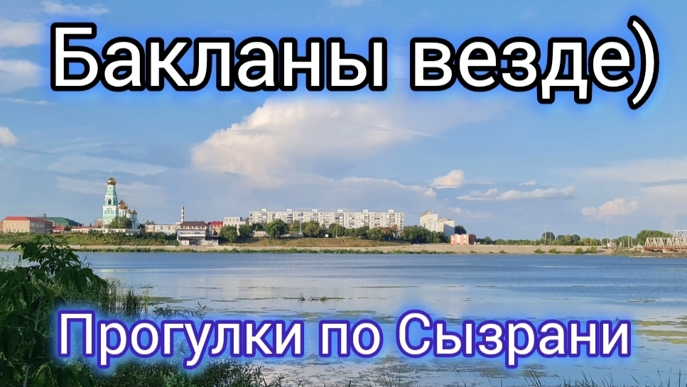 Бакланы везде. Красивый город, грязный берег. Прогулки по Сызрани.