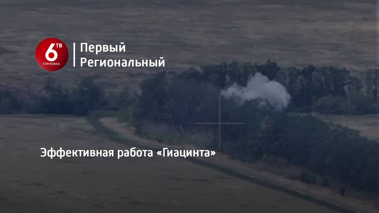 Эффективная работа «Гиацинта»