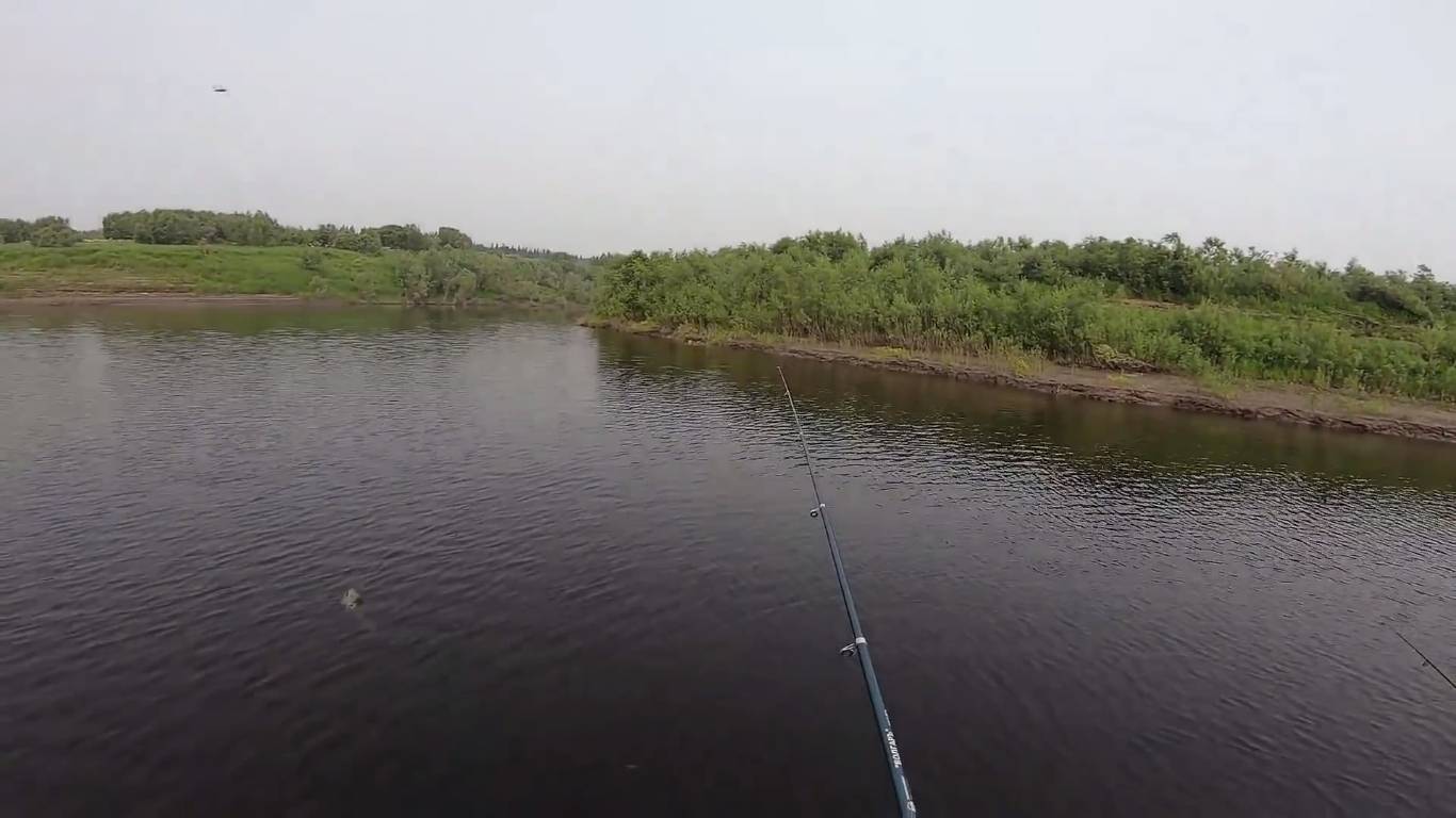 Супер рыбалка!!! Второй выезд на рыбное Эльдорадо. Часть первая.