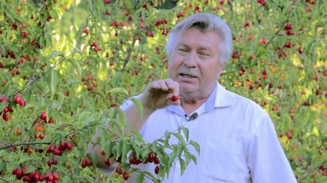 Шоу УДАЧНИКИ 46