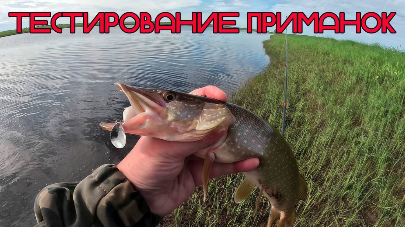 Утренний клёв щуки. Тестирование самодельных приманок.