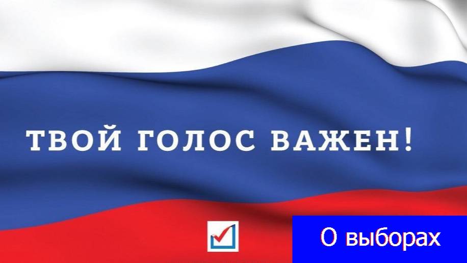 Наиболее популярные мифы о избирательном праве