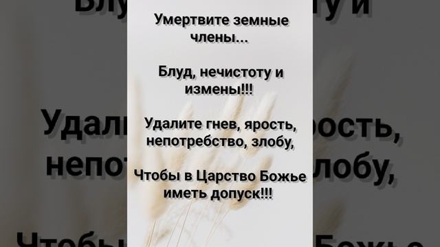 "ИЩИТЕ ГОРНЕГО!!!" Слова, Музыка: Жанна Варламова