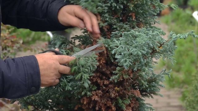 Шоу УДАЧНИКИ 51