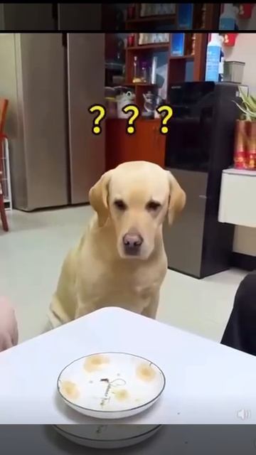 Кто успел, тот и съел!