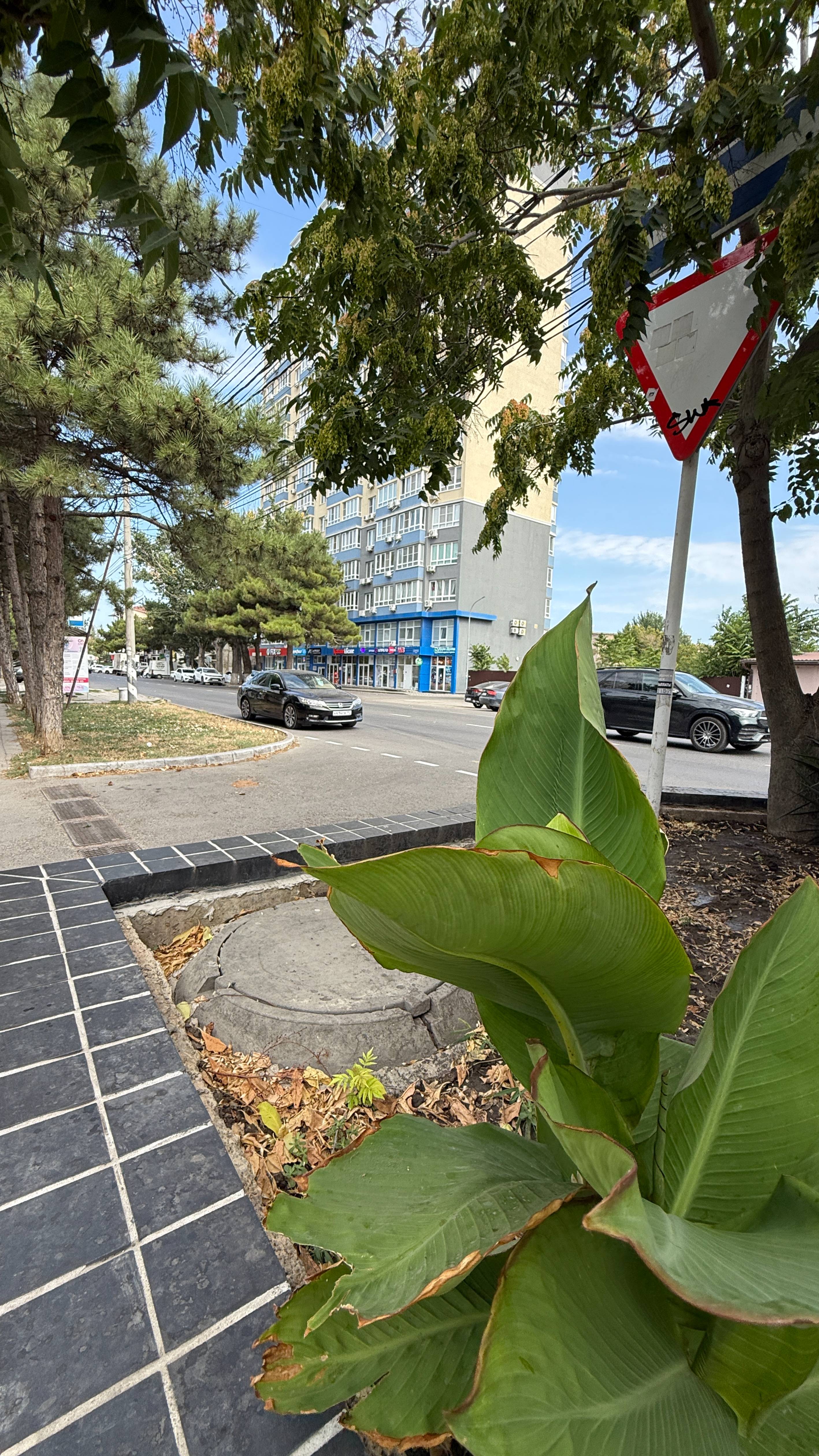 #Анапа продам квартиру в центре недалеко от пляжа ЖК Вертикаль