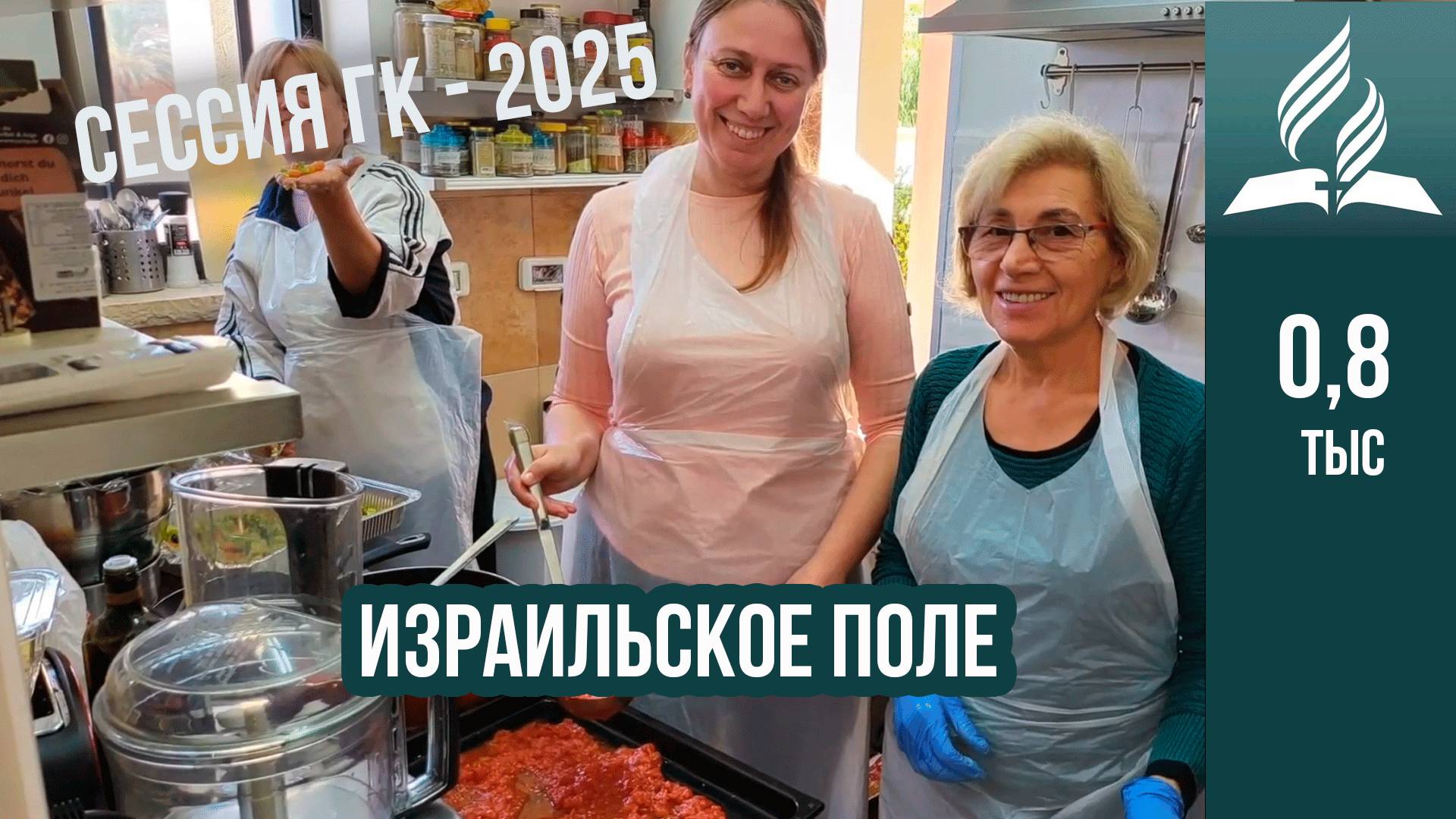 Израильское поле - отчет на сессии ГК 2025