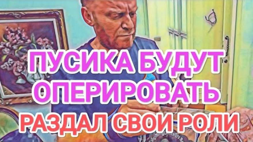 Самвел Адамян НАЕЛИСЬ ВЕРБЛЮЖЬИХ KAKAШЕК  ПУСИКУ НУЖНА ОПЕРАЦИЯ  ОТКАЗ ОТ РОЛЕЙ