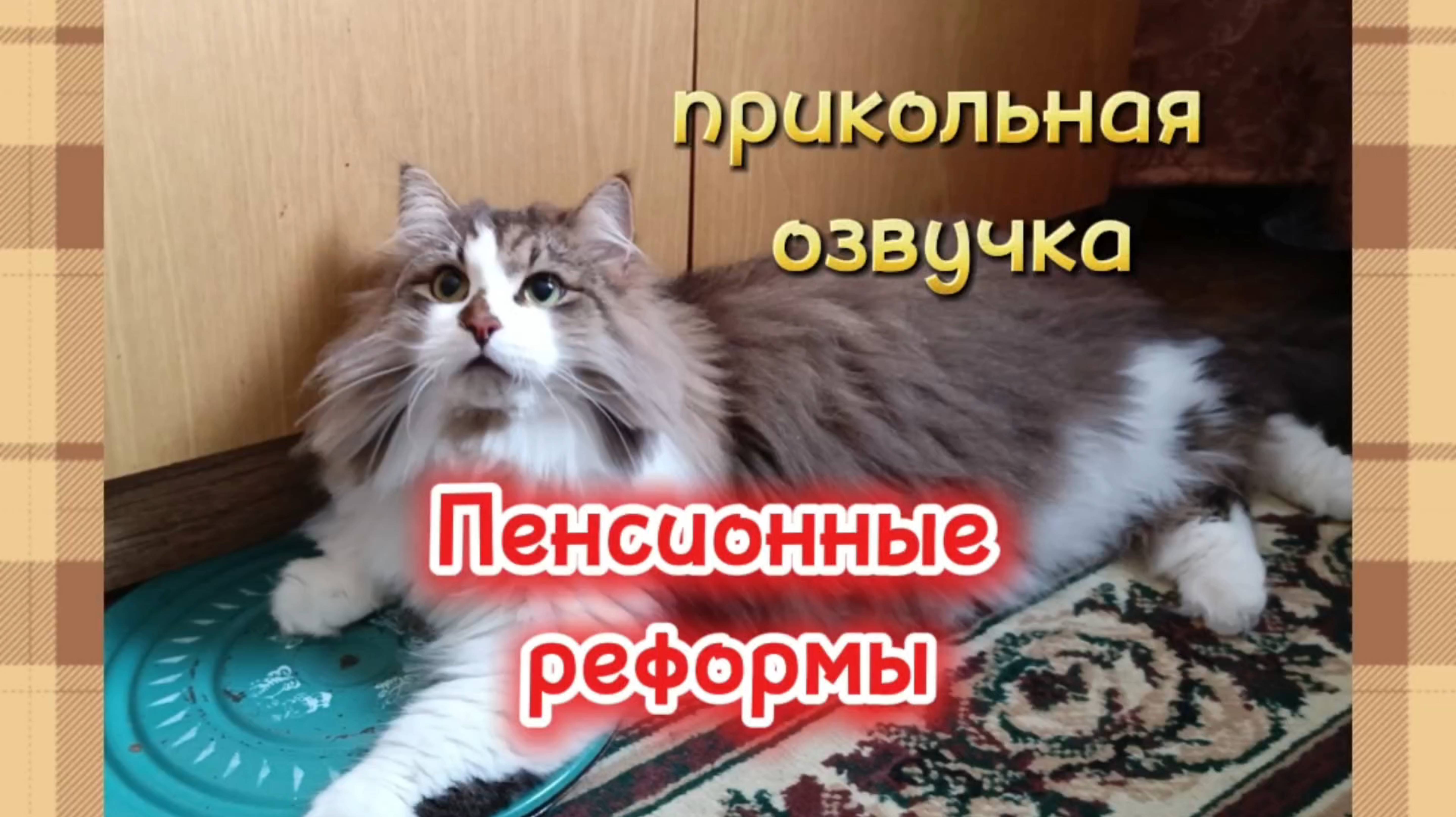Приколы про пенсионные реформы.
