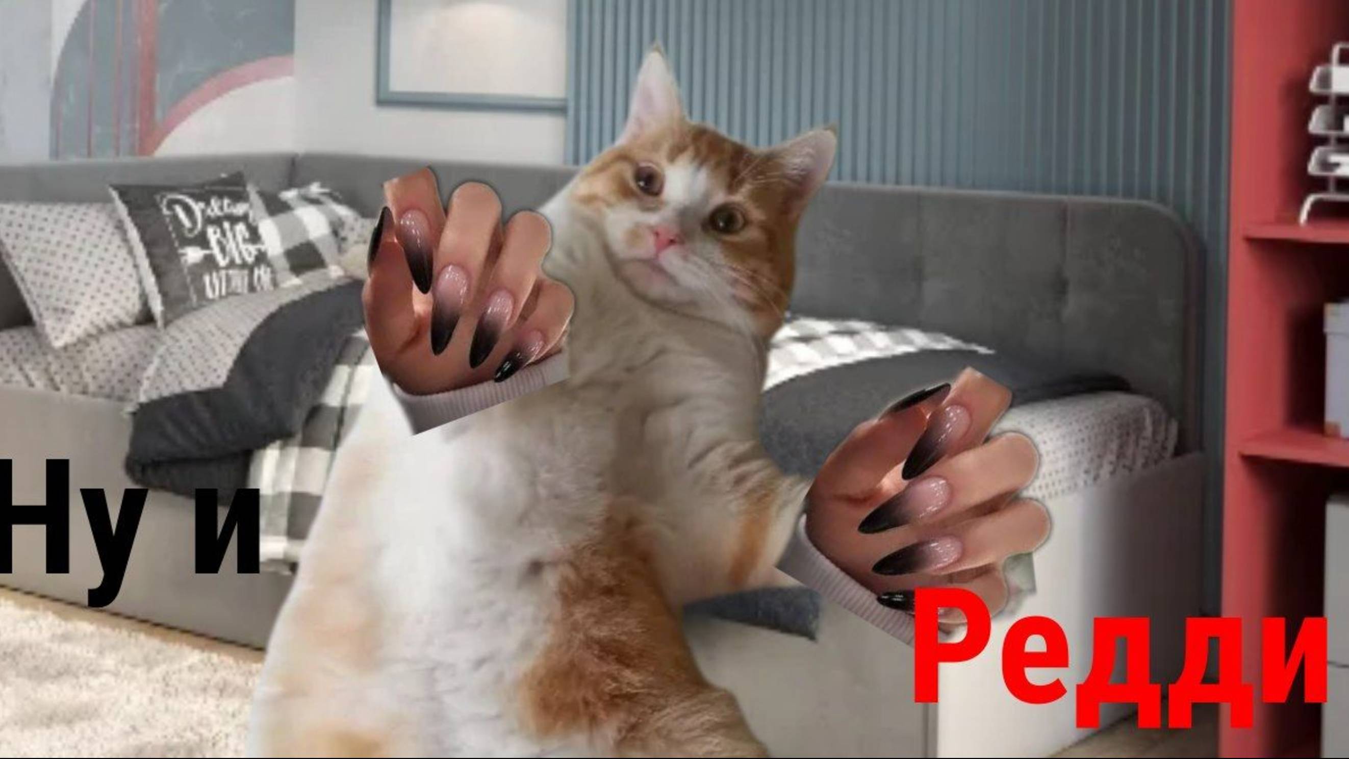 Извините но мне лень делать видео😰