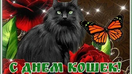 С днём кошек. Музыкальная открытка поздравление.