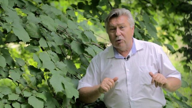 Шоу УДАЧНИКИ 48