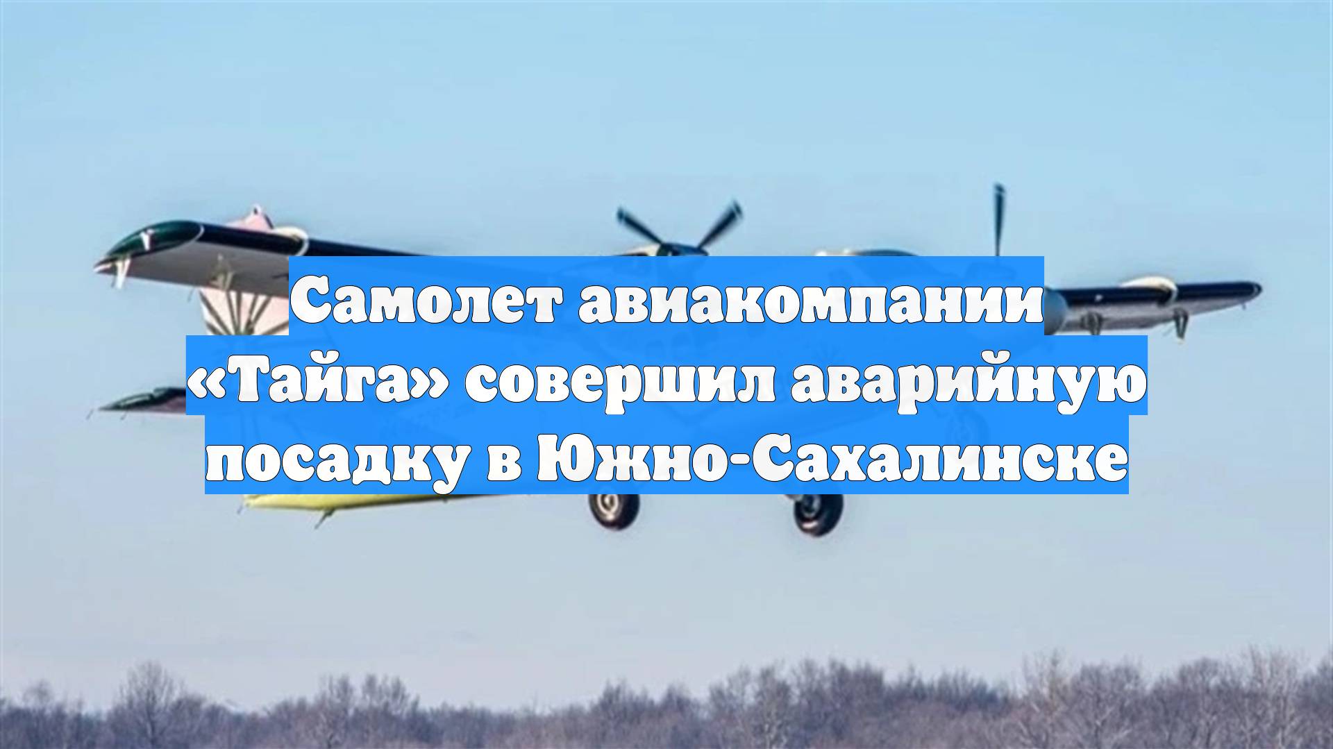 Самолет авиакомпании «Тайга» совершил аварийную посадку в Южно-Сахалинске