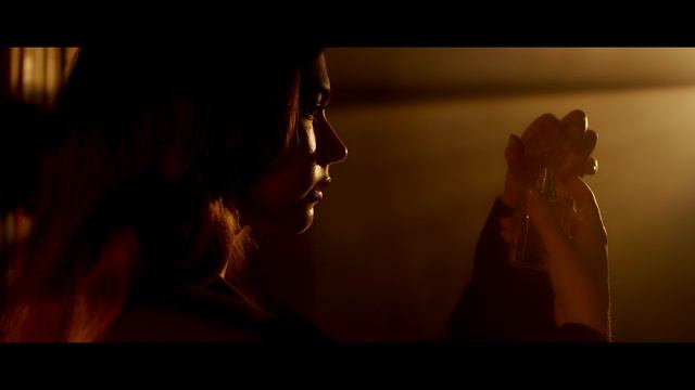 Bohemia Night Dreams