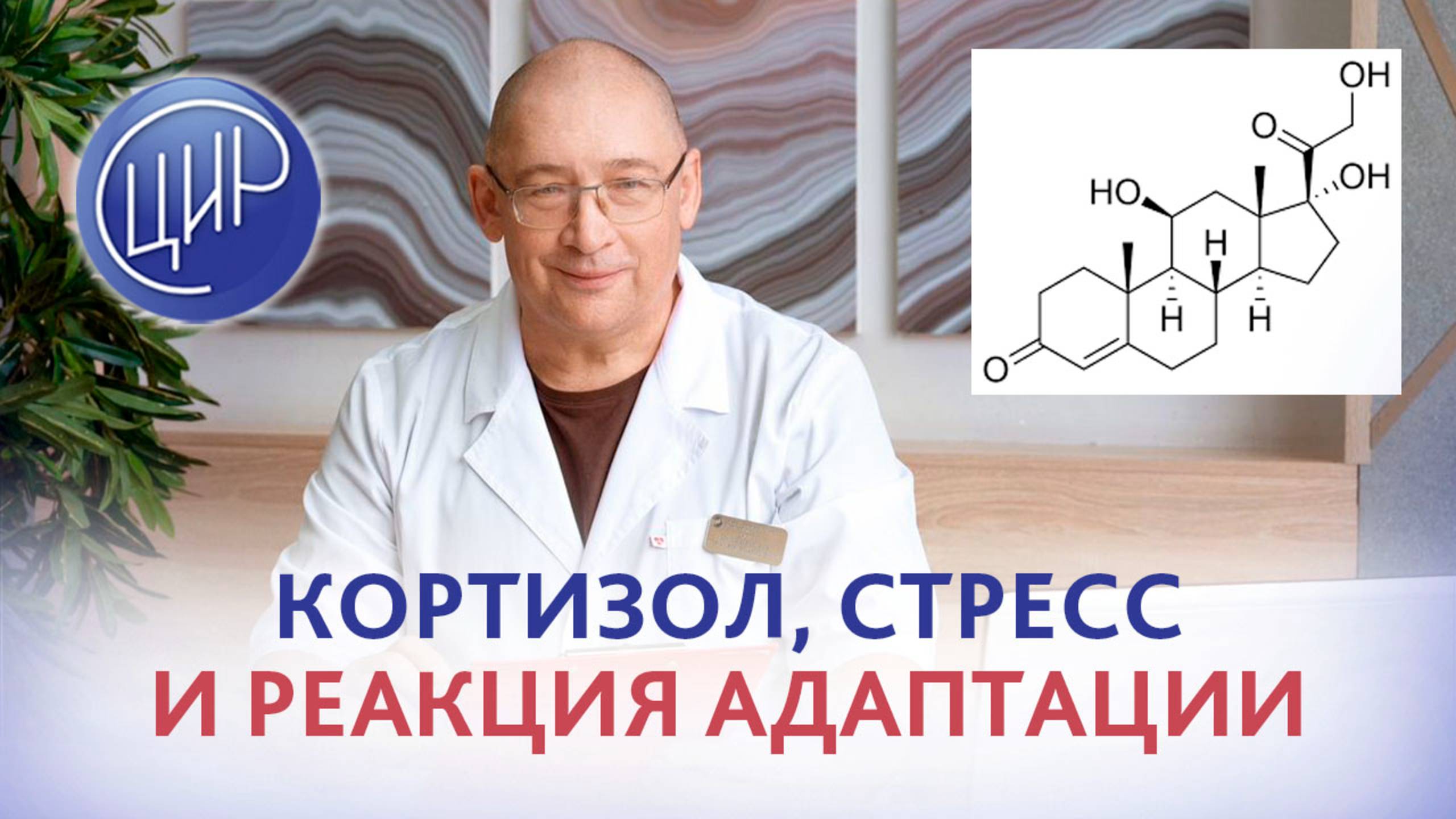 Кортизол, стресс и реакция адаптации. Игорь Иванович Гузов.