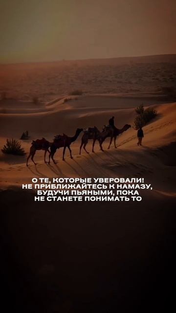 Совершил омовение землей! Закончилась вода?  Исмаиль Абу Мухаммад