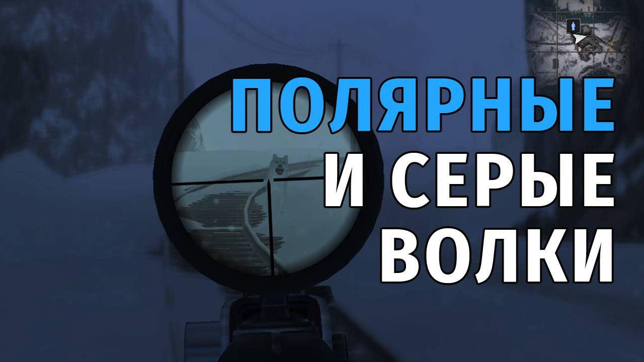 14. Полярные и серые волки. Stay Out | RU2