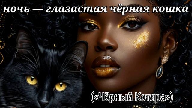 Ночь — глазастая чёрная кошка, dance («Чёрный Котяра»)