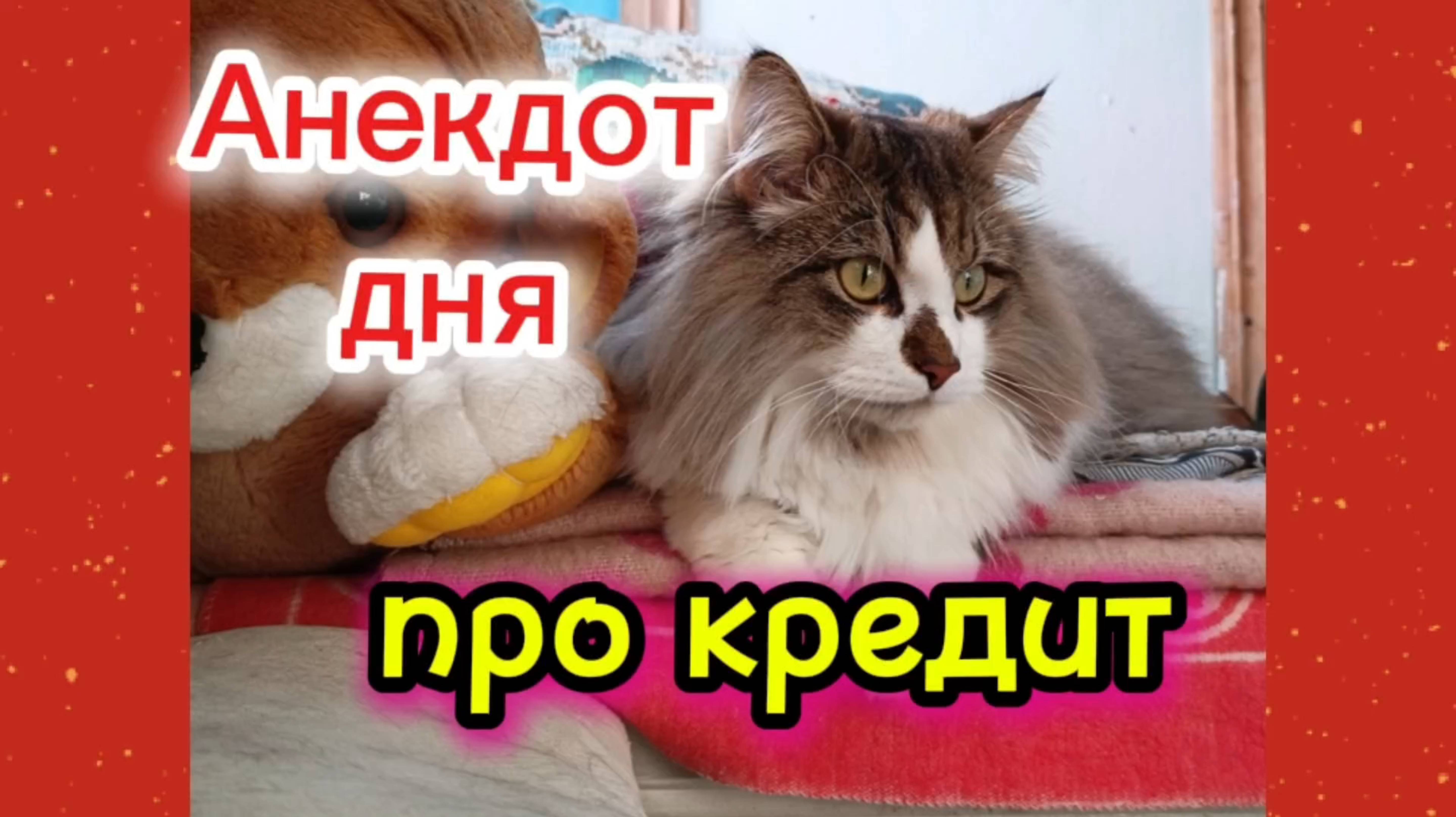 Анекдот дня. Про кредит.