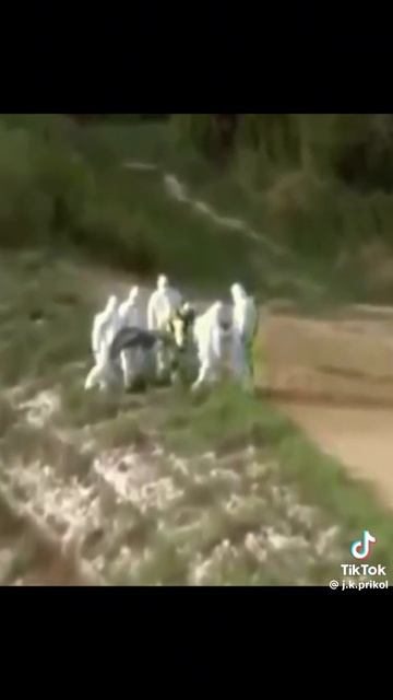 что ты такое