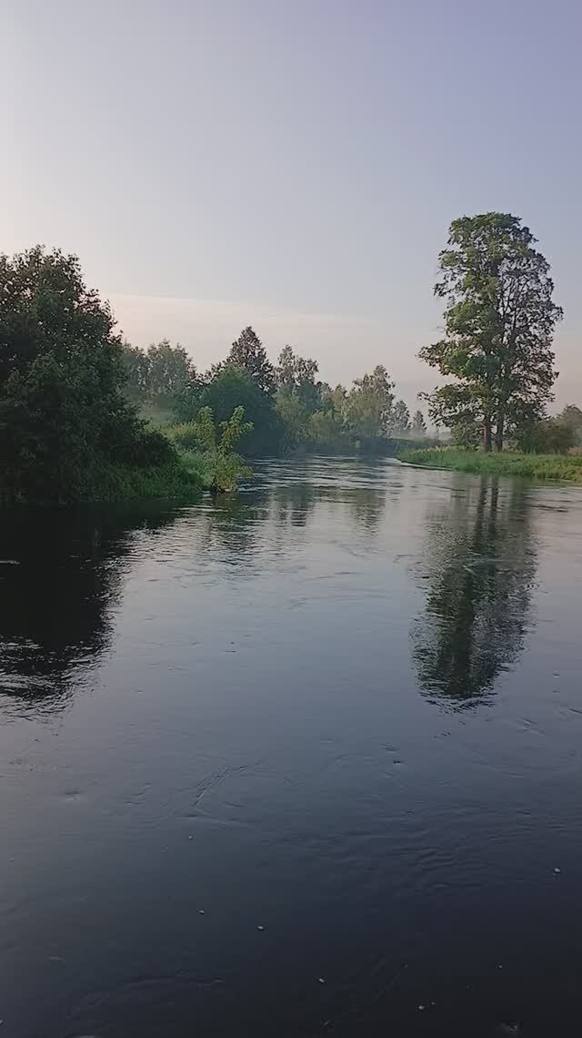 утро на реке Истра