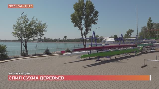 Ростов сегодня: дневной выпуск. 8 августа 2025